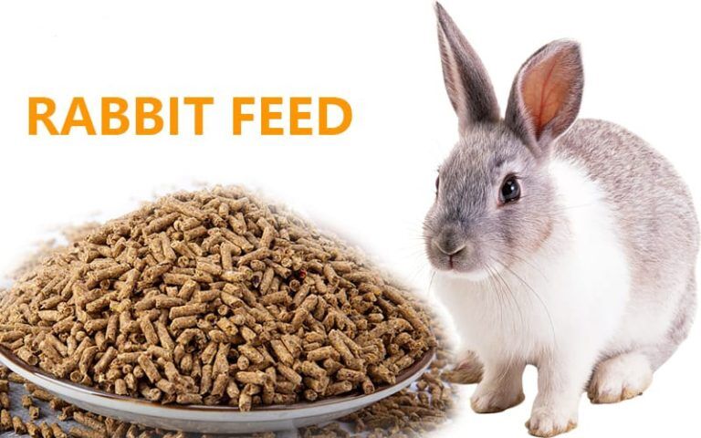Rabbit Feed in Jamaica - Rose Villa Animal Feed Factory